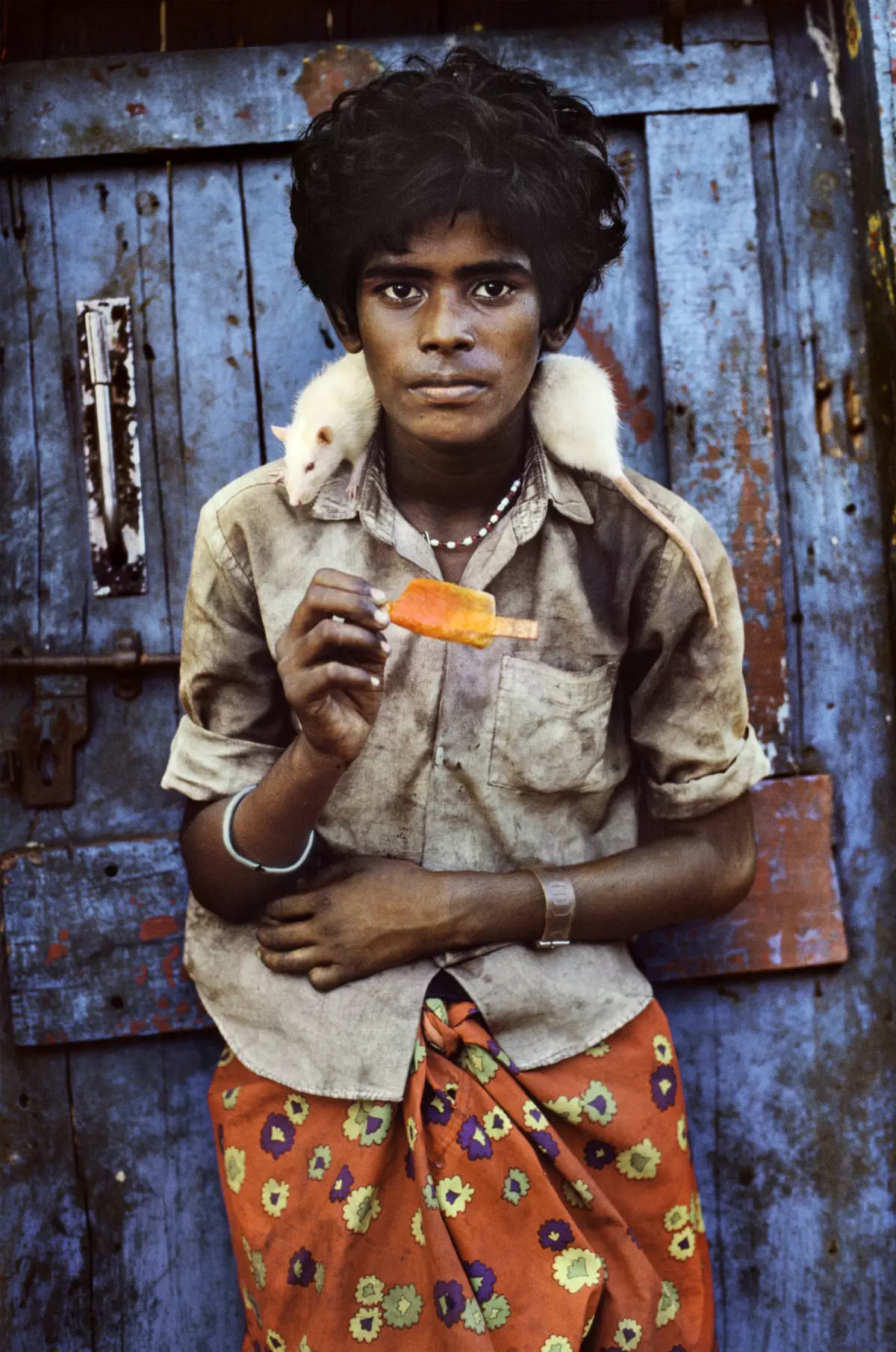 Hubungan khusus jalma sareng sato: fotografer Steve McCurry (Steve McCurry) 2887_17