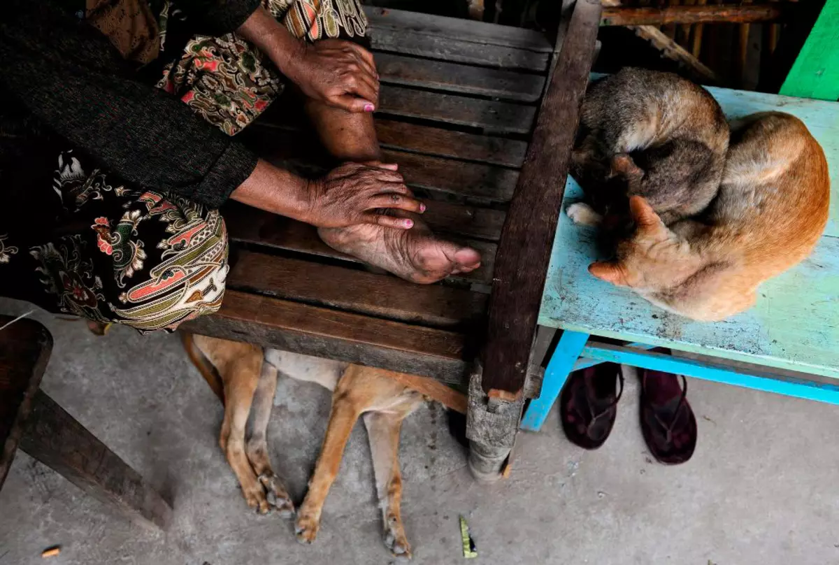 Rapporti speciali di persone e animali: fotografo steve mccurry (Steve McCurry) 2887_18