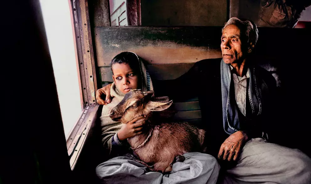 Hubungan khusus jalma sareng sato: fotografer Steve McCurry (Steve McCurry) 2887_19