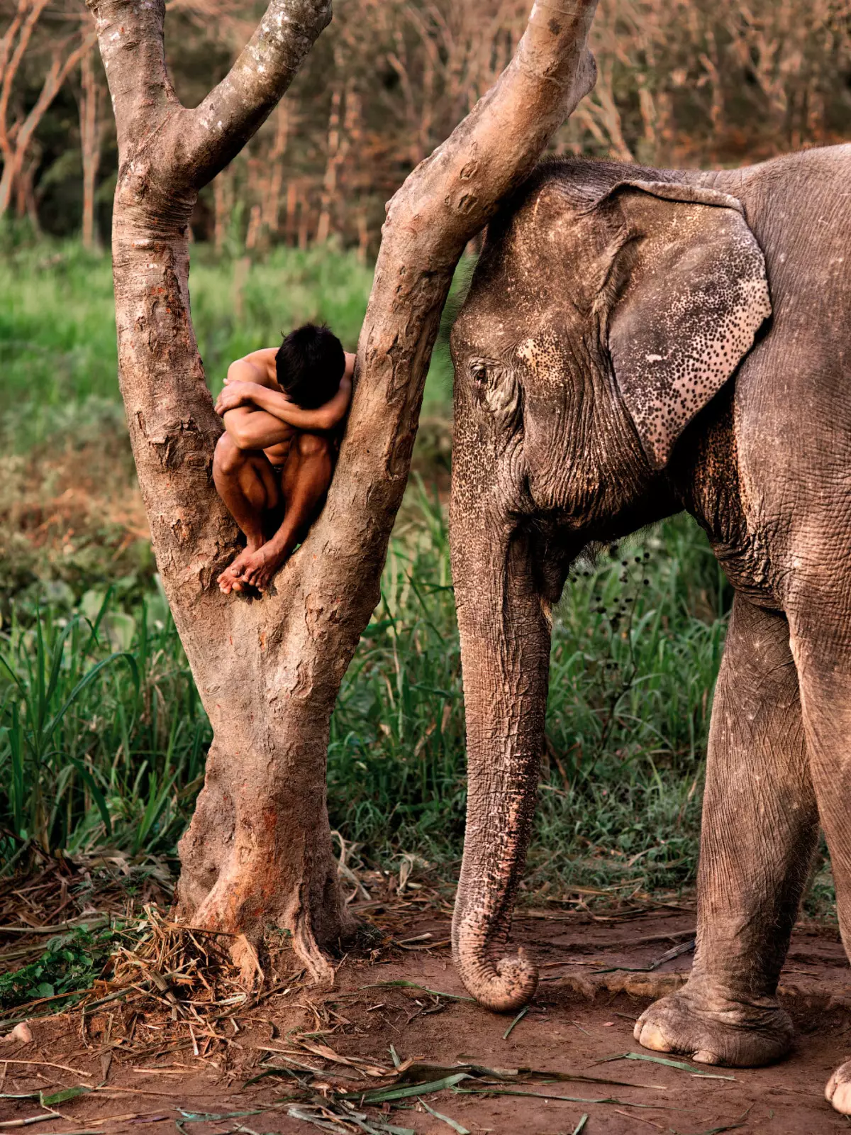 Hubungan khusus jalma sareng sato: fotografer Steve McCurry (Steve McCurry) 2887_4