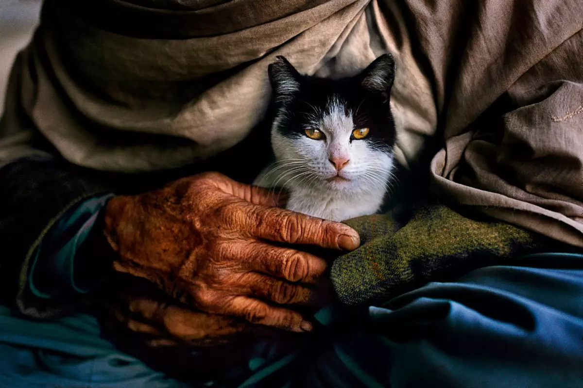 Rapporti speciali di persone e animali: fotografo steve mccurry (Steve McCurry) 2887_6