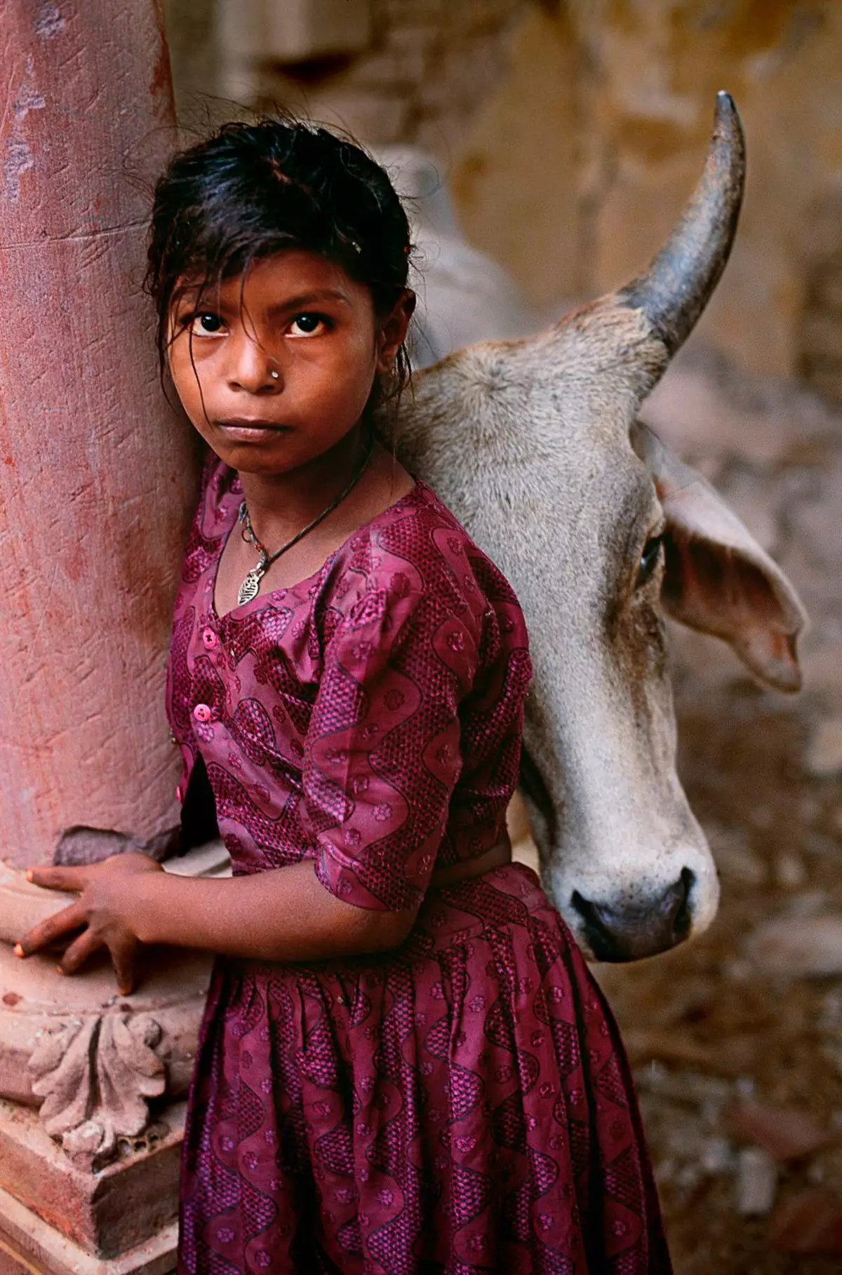 Perthnasoedd arbennig pobl ac anifeiliaid: Ffotograffydd Steve McCurry (Steve McCurry) 2887_8