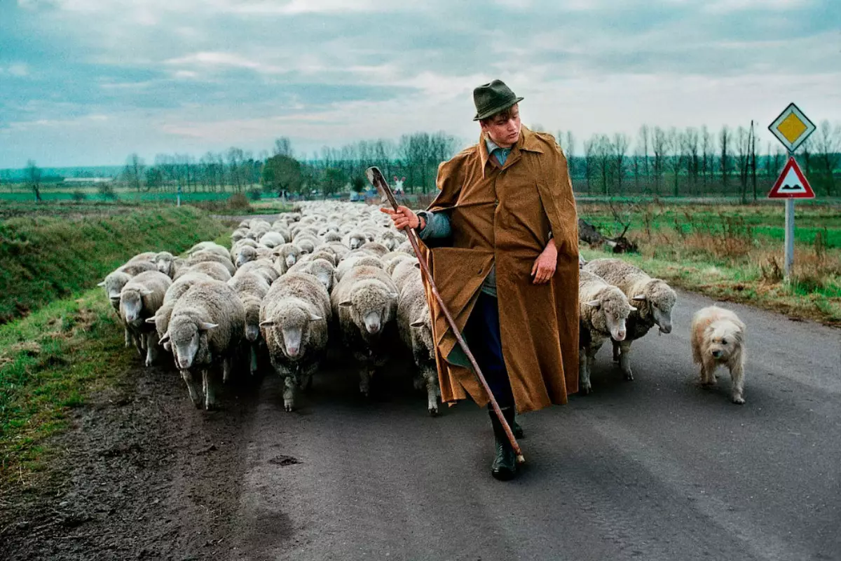 Perthnasoedd arbennig pobl ac anifeiliaid: Ffotograffydd Steve McCurry (Steve McCurry) 2887_9