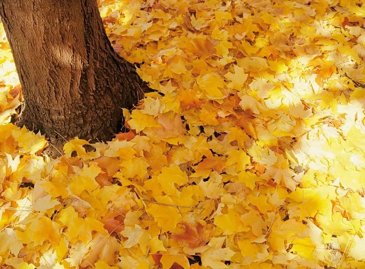 Ulusal Georgaphic'ten İlginç ve Sıradışı Fotoğraflar 