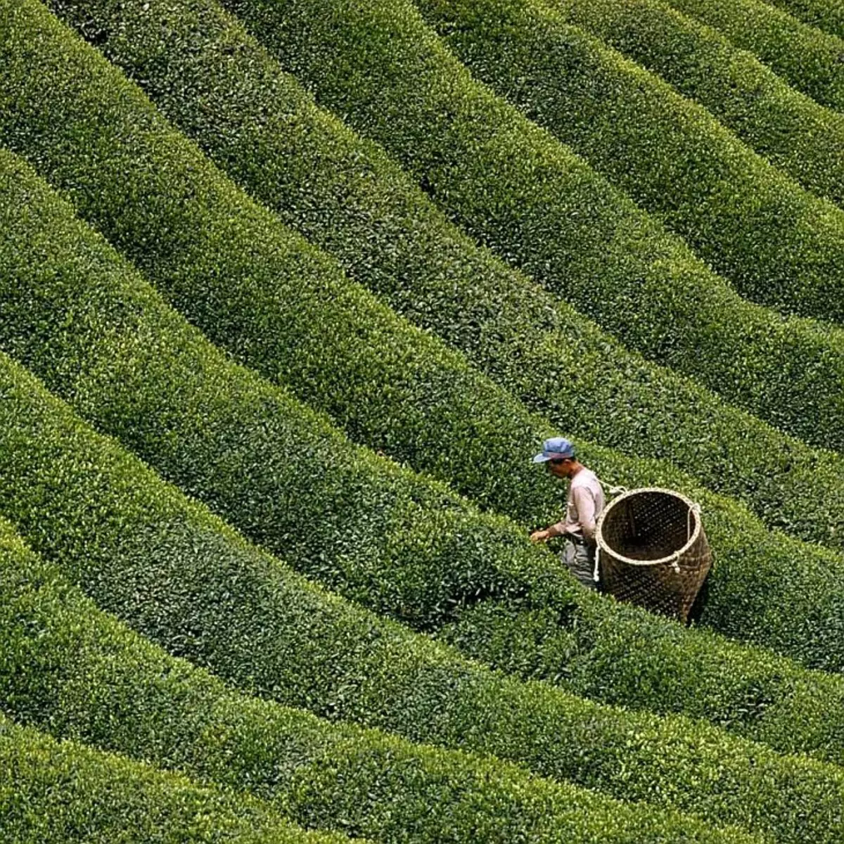 Photos intéressantes et inhabituelles 