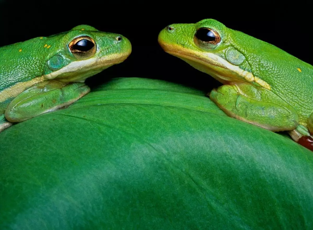 Zajímavé a neobvyklé fotografie 