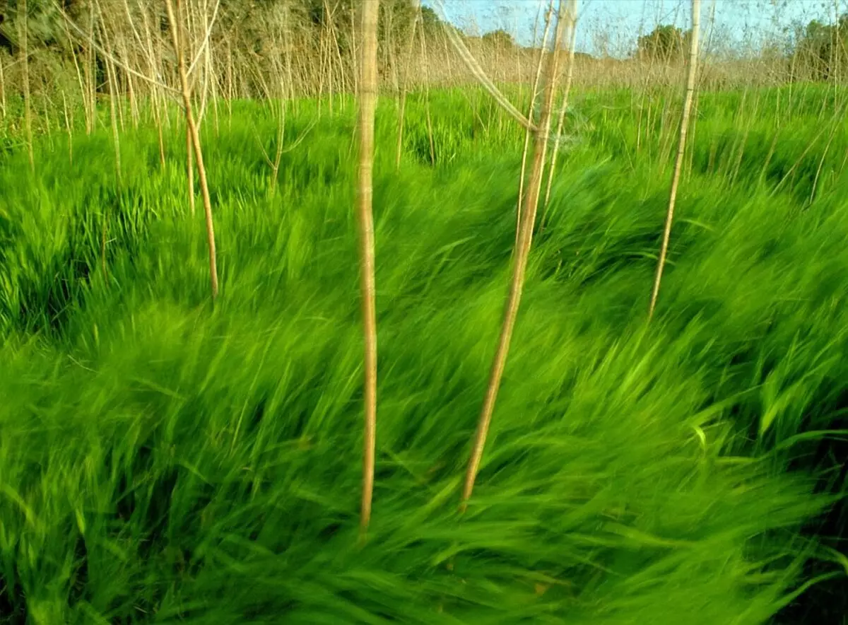 Fotot interesante dhe të pazakonshme 