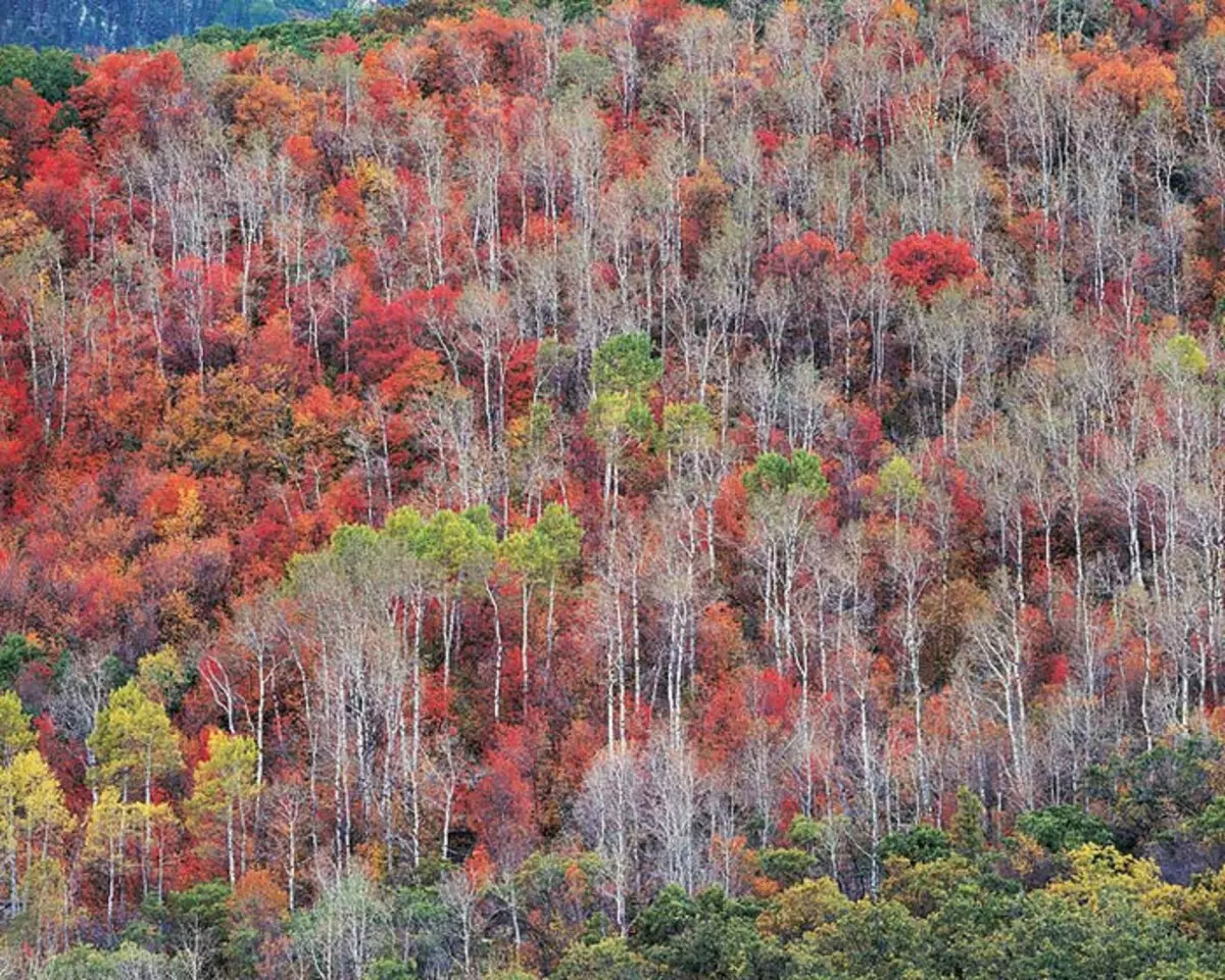 Bosques, llanuras, montañas y lagos ... Fotos de otoño de América Christopher Burkett (Christopher Burkett) 2929_11