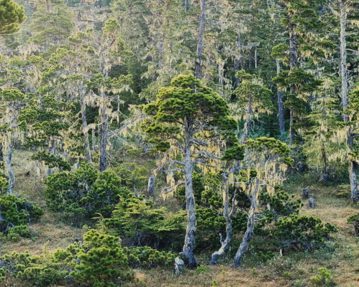 Bosques, llanuras, montañas y lagos ... Fotos de otoño de América Christopher Burkett (Christopher Burkett) 2929_3