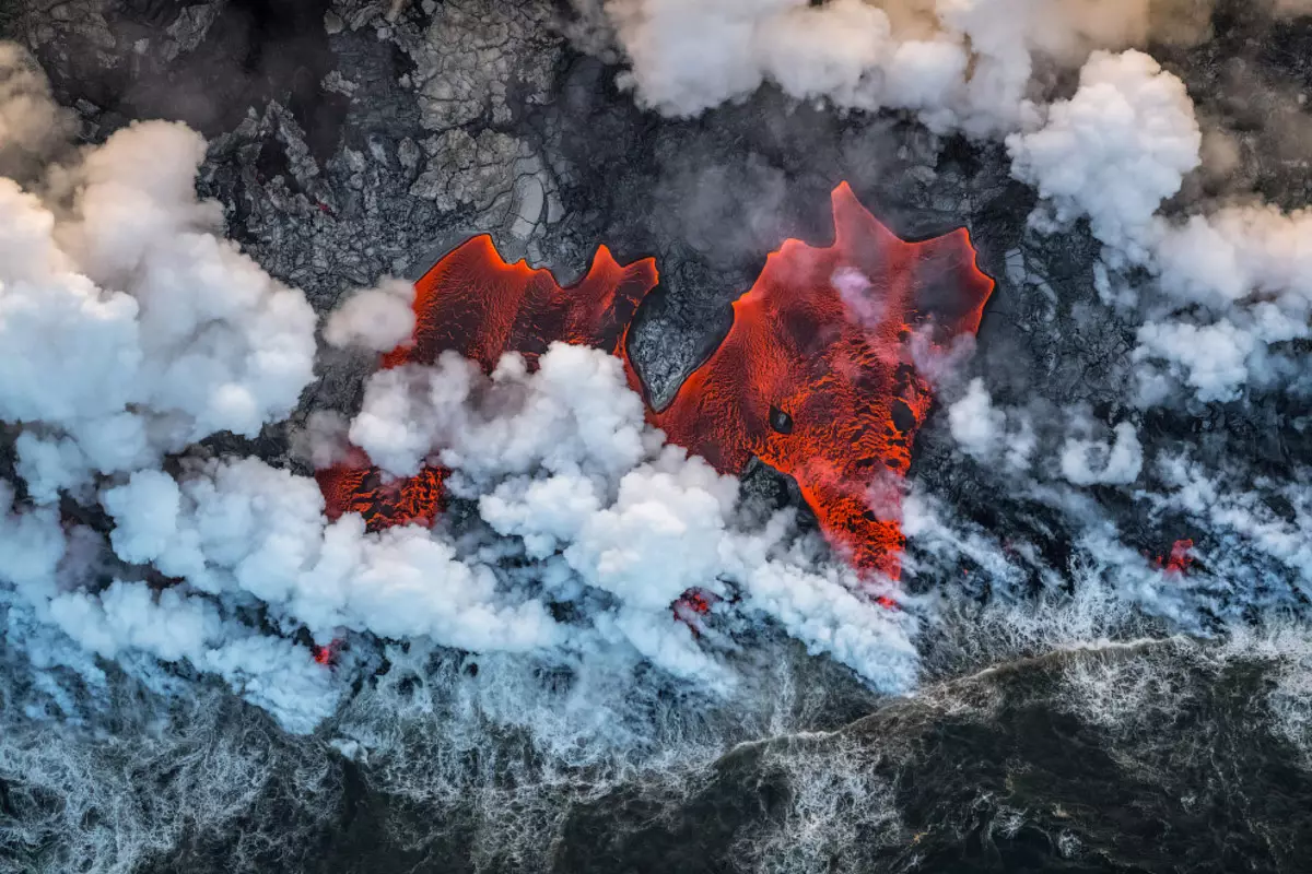 Zwycięzcy Photo Contest GDT Europejski Wildlife Fotograf of the Year 2019 3020_7