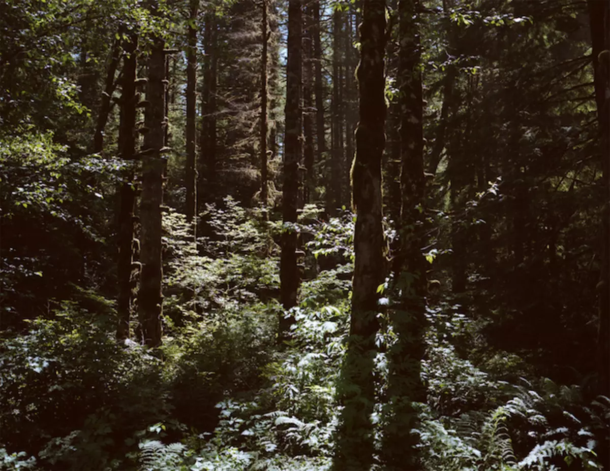 Nježne ljetne fotografije Khaime Beechum (Jaime Beechum)