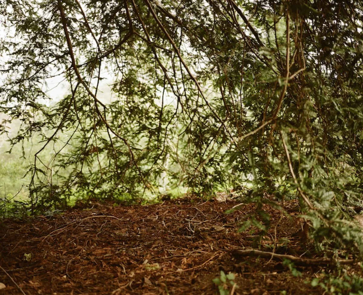 Sanfte Sommerfotos Khaime Beechum (Jaime Beechum)