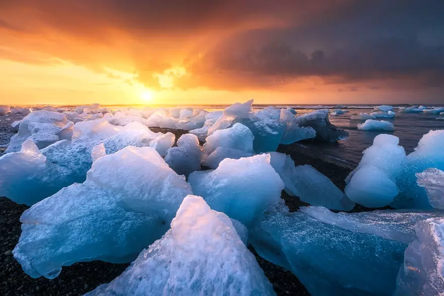 Seguendo il sole ... ogni immagine emette un calore incredibile 3142_8