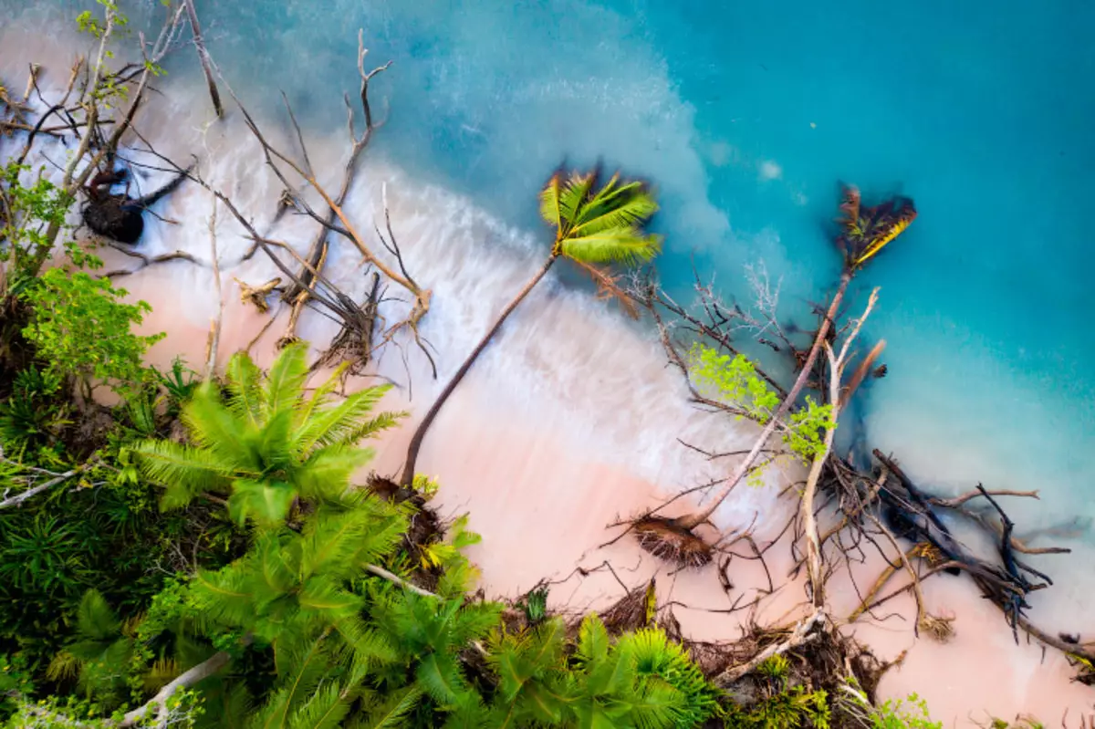 Fotógrafo ambiental da CIWEM do ano de 2019 3156_1