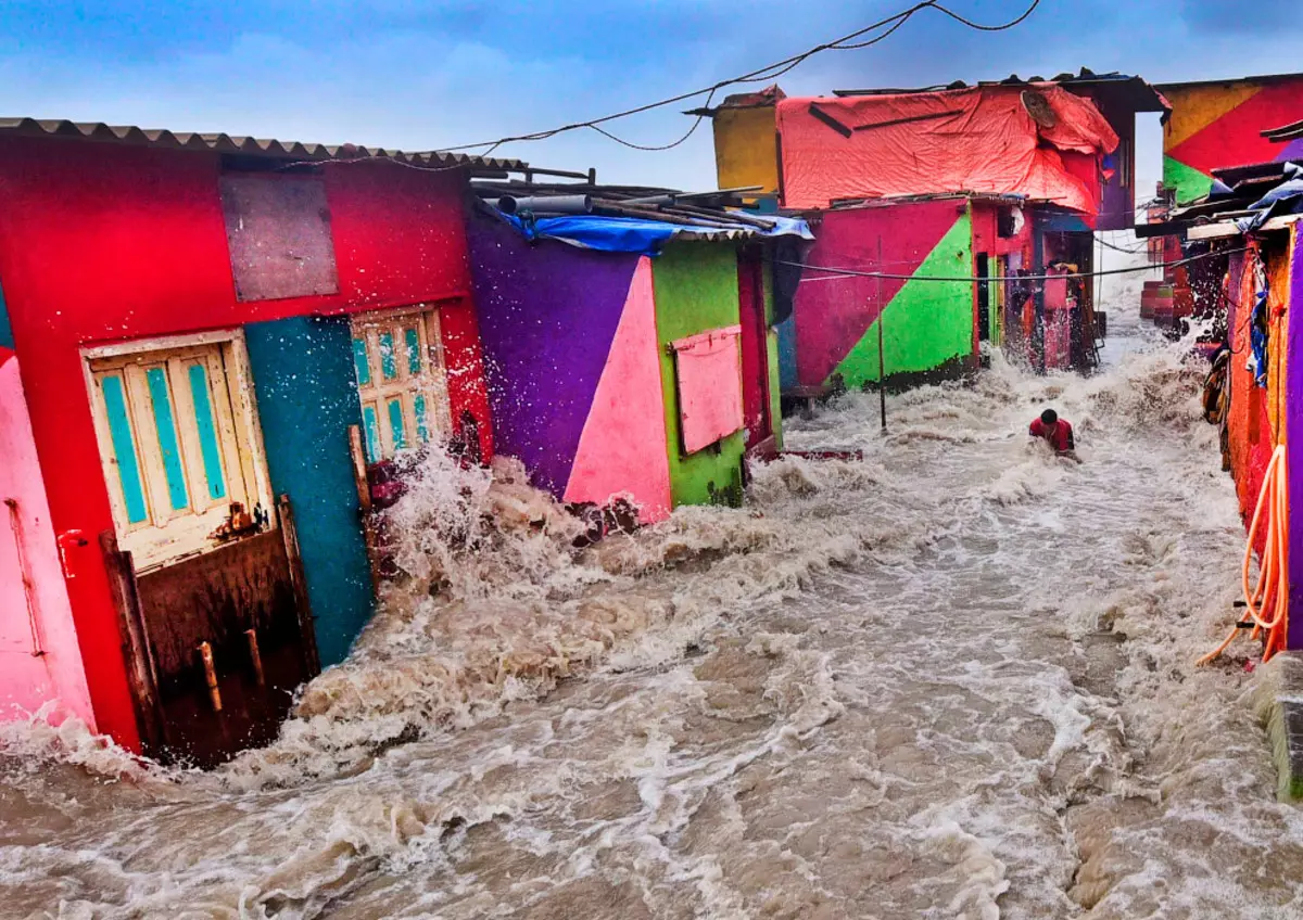 Fotógrafo ambiental da CIWEM do ano de 2019 3156_14