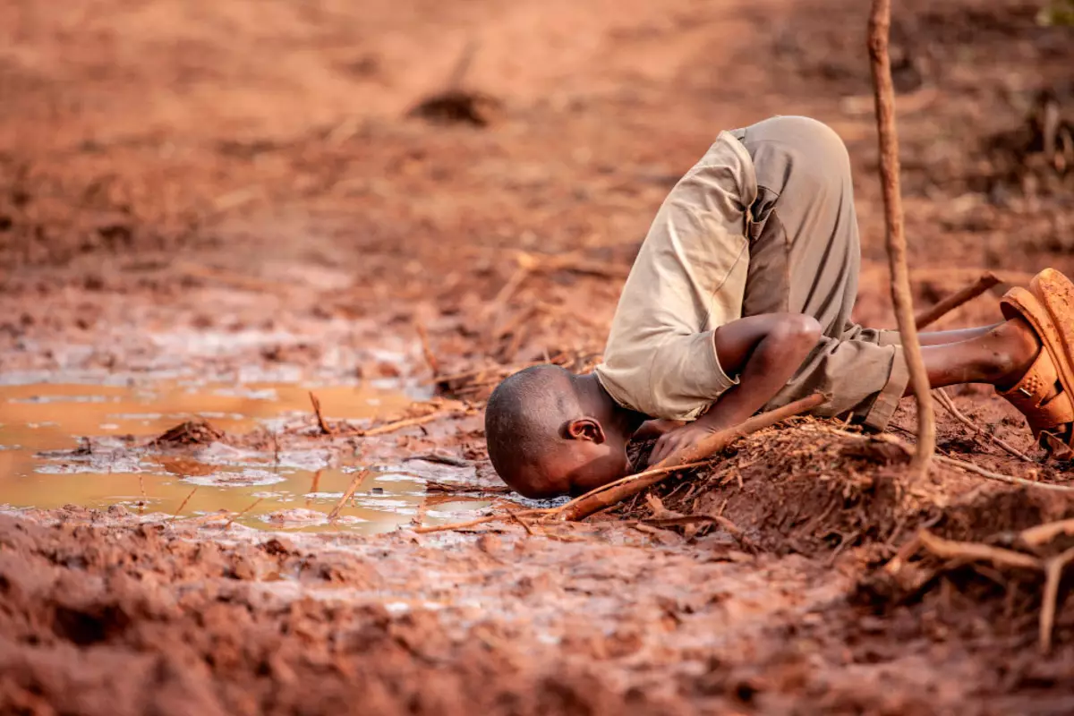 Fotógrafo ambiental da CIWEM do ano de 2019 3156_3