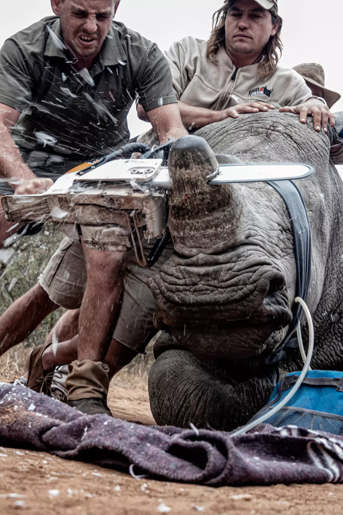 Fotógrafo ambiental da CIWEM do ano de 2019 3156_5