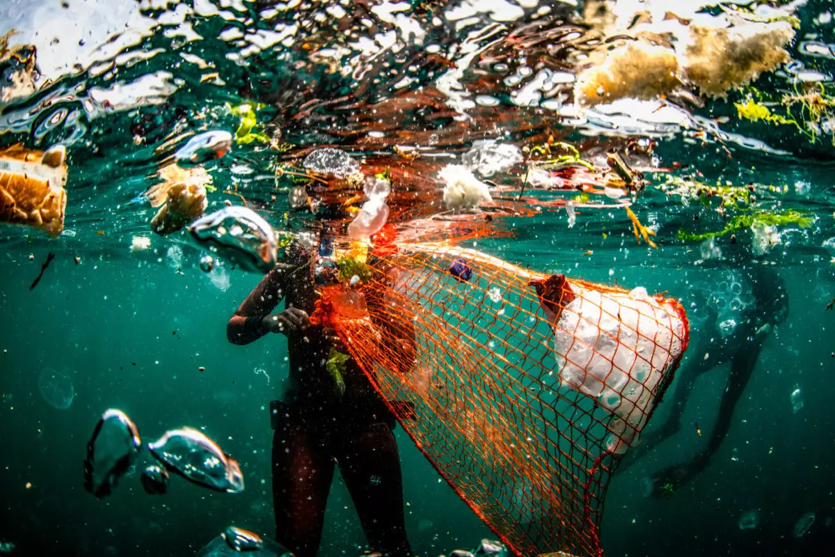 Fotógrafo ambiental da CIWEM do ano de 2019 3156_6