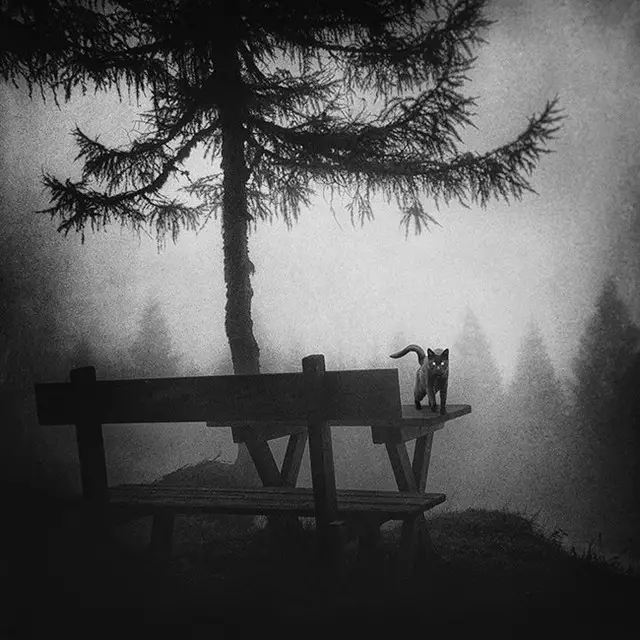 Xa umfanekiso womfanekiso kunye nemood ibaluleke ngakumbi kunemfezeko yobugcisa! Ifoto ye-Ando fuchs (Ando Fuchs) 3233_13