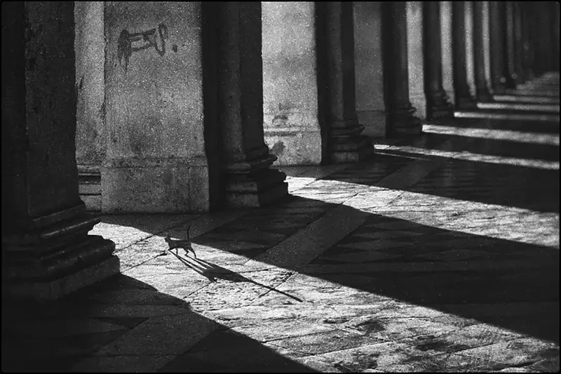 Ko je slika in razpoloženje slike pomembnejša od tehnične popolnosti! Fotograf Ando Fuchs (Ando Fuchs) \ t 3233_24