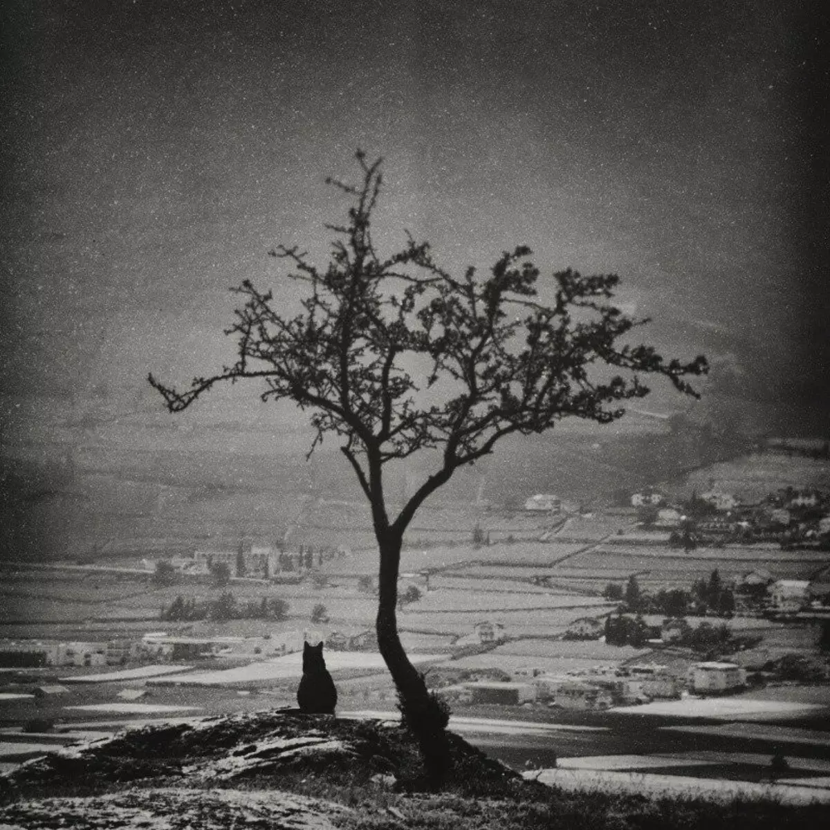 Fotograaf Ando Fuchs: Die belangrikste ding in die prente - bui 1