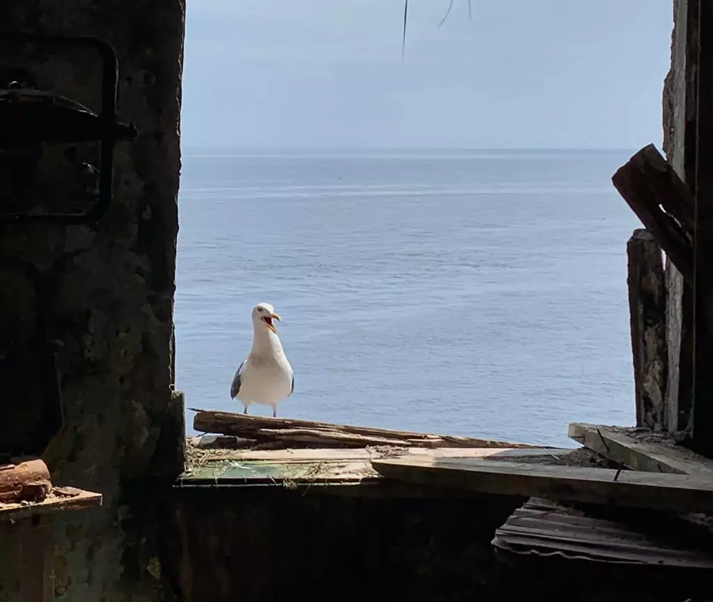 Tavuk 2019: Lens'teki en güzel deniz feneri;) 3283_26