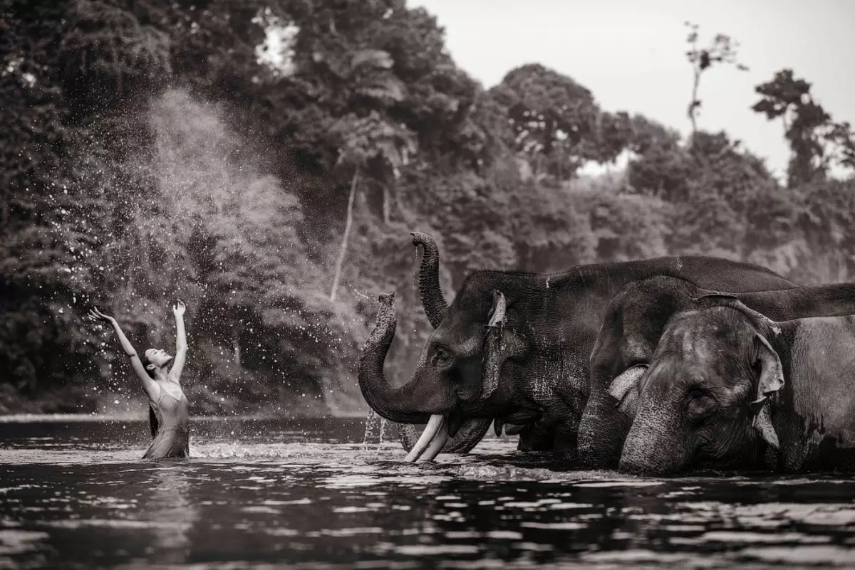 Session photo Sean Lee-Davies avec des animaux en voie de disparition 3288_5