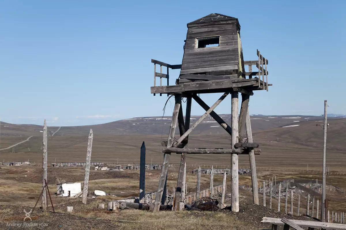 Killed Arctic Chukotka ในเลนส์ Andrei Podkorytov (Andrey Podkorytov) 3351_14