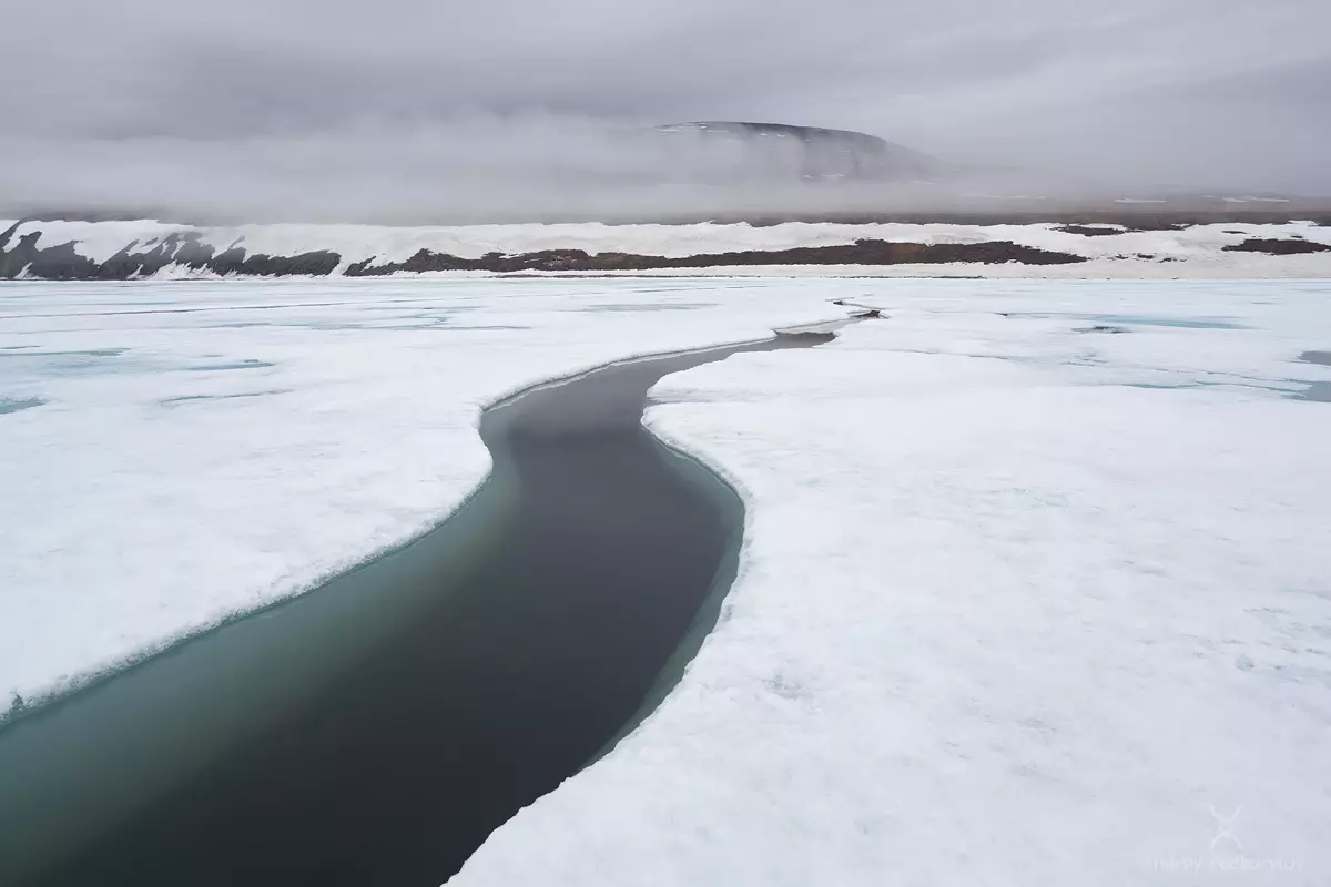 Killed Arctic Chukotka ในเลนส์ Andrei Podkorytov (Andrey Podkorytov) 3351_16