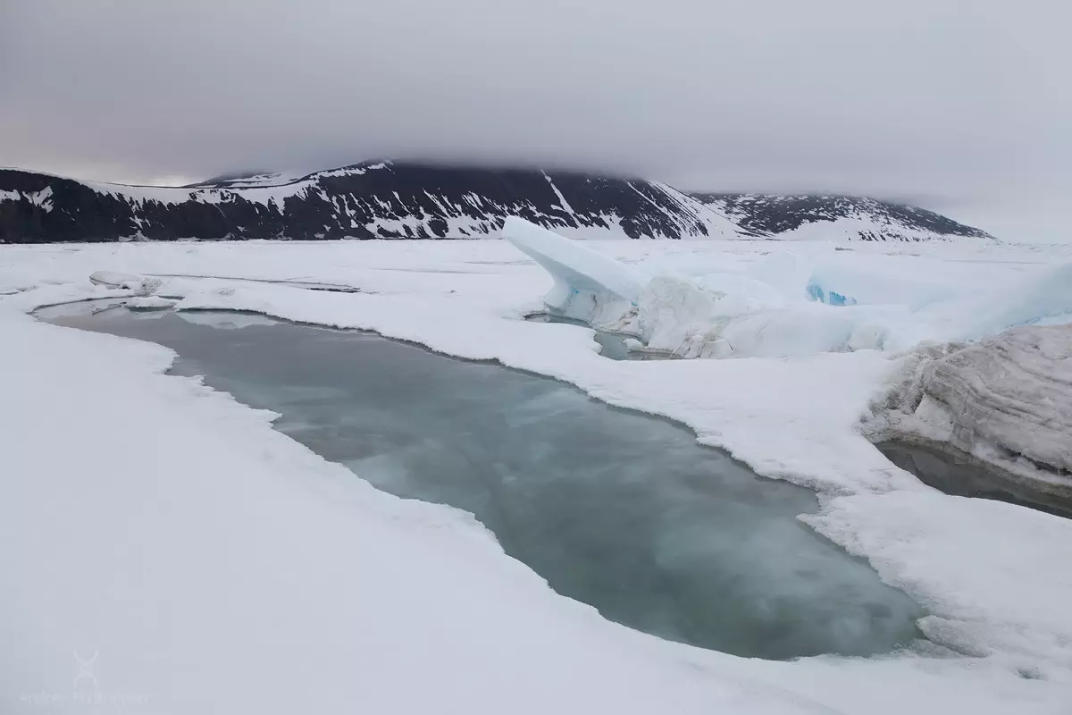 Membunuh Arctic Chukotka di Lens Andrei Podkorytov (Andrey Podkorytov) 3351_17