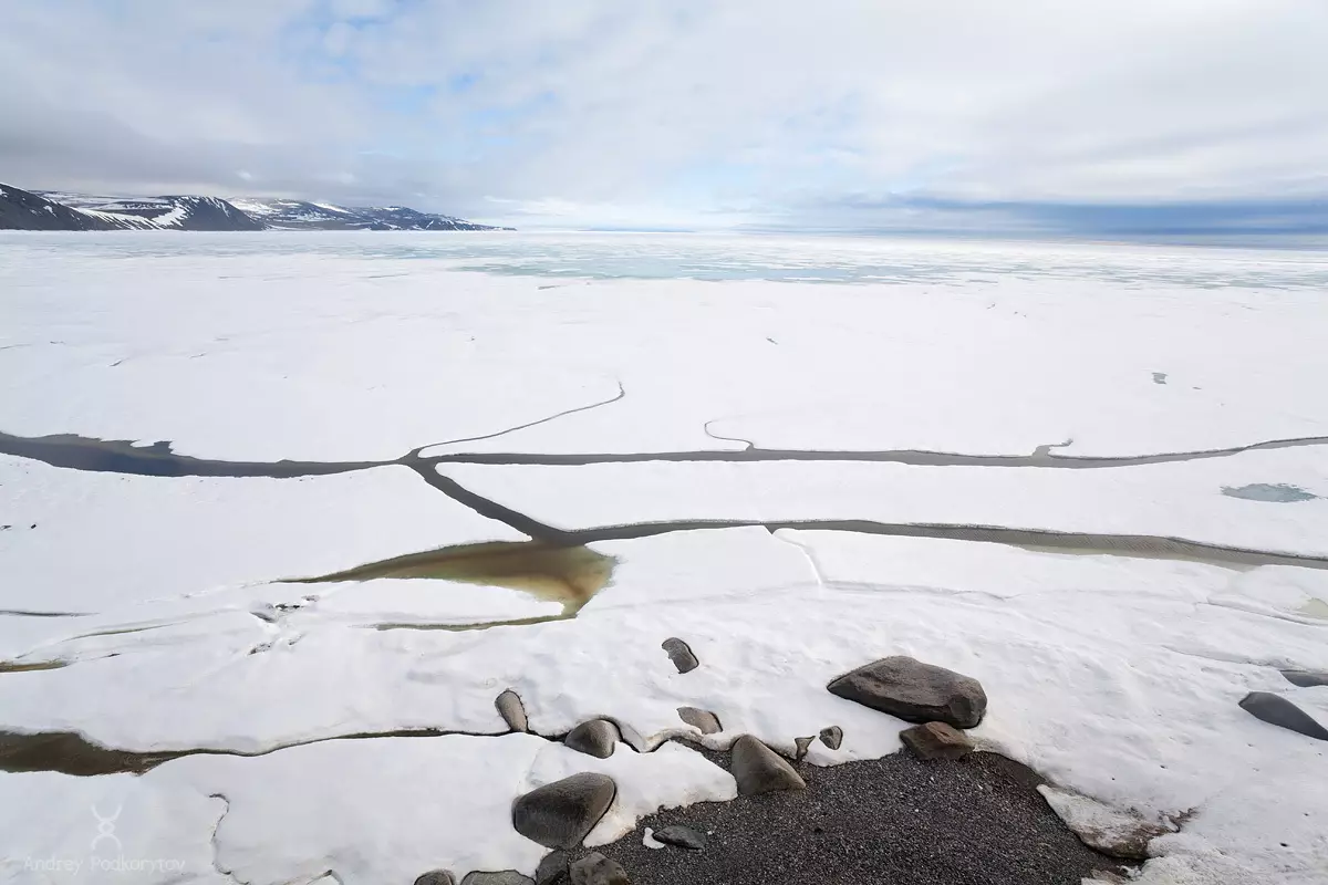 Membunuh Arctic Chukotka di Lens Andrei Podkorytov (Andrey Podkorytov) 3351_29