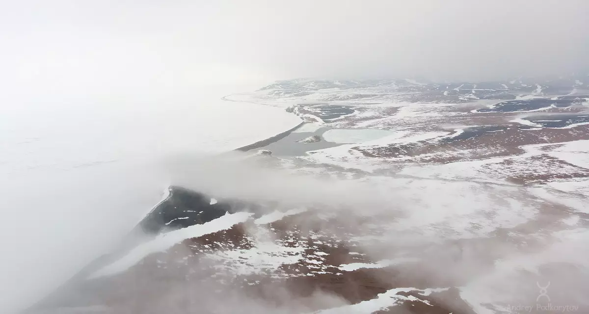 Dræbt arktisk chukotka i linsen Andrei Podkorytov (Andrey Podkorytov) 3351_30