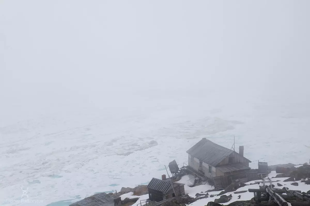 Pa arctic chukotka ninu lẹnsi Andrei podkorytov (Andrey podkorytov) 3351_32