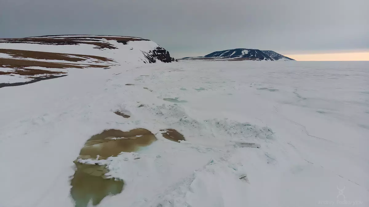 Membunuh Arctic Chukotka di Lens Andrei Podkorytov (Andrey Podkorytov) 3351_34