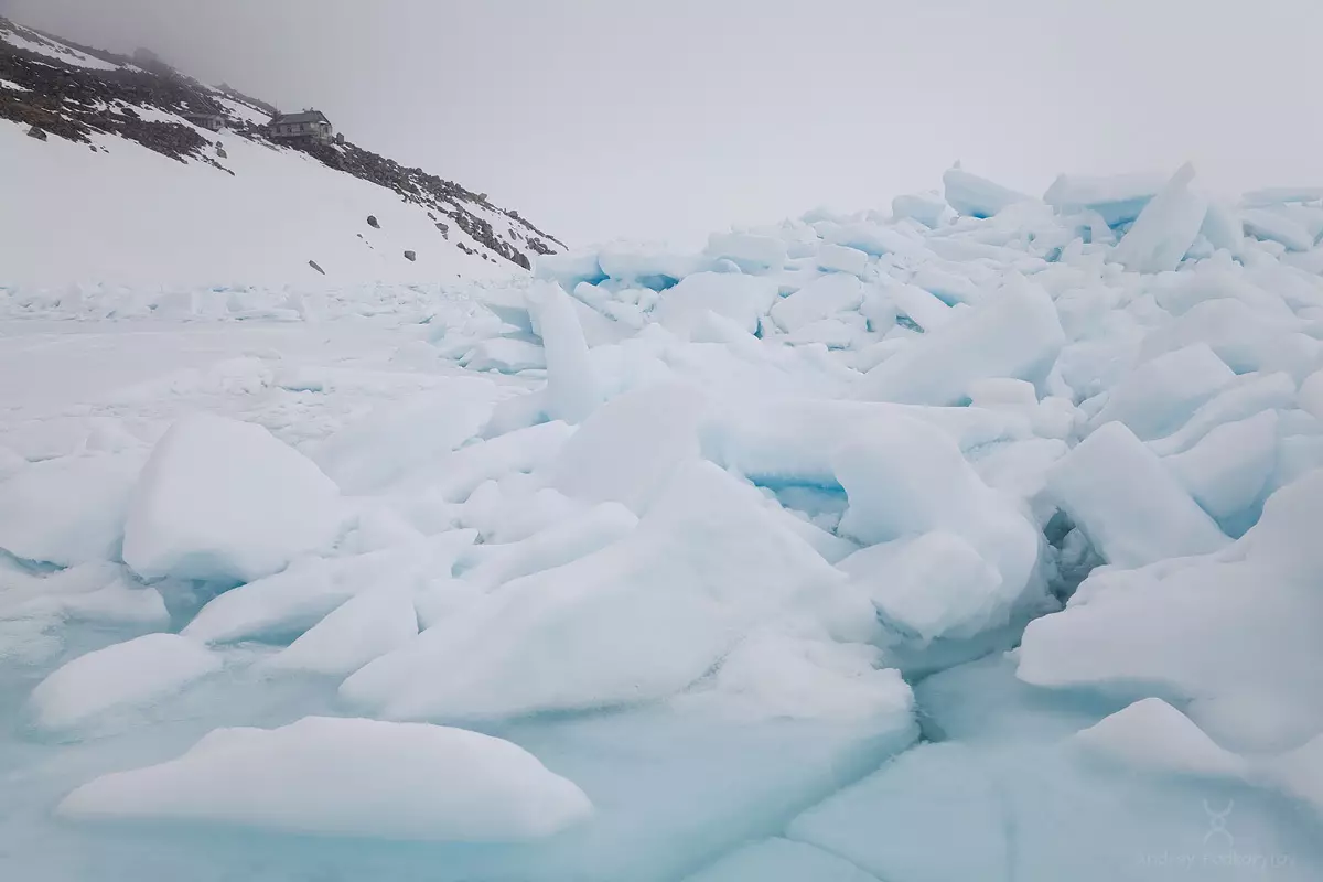 Membunuh Arctic Chukotka di Lens Andrei Podkorytov (Andrey Podkorytov) 3351_39