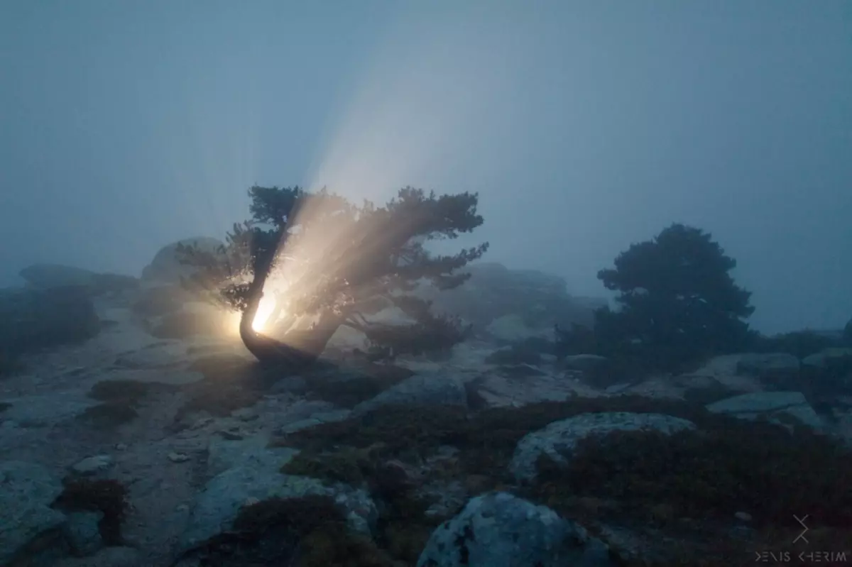 Šis fotografas tiksliai žino, kas yra puikus rėmelis