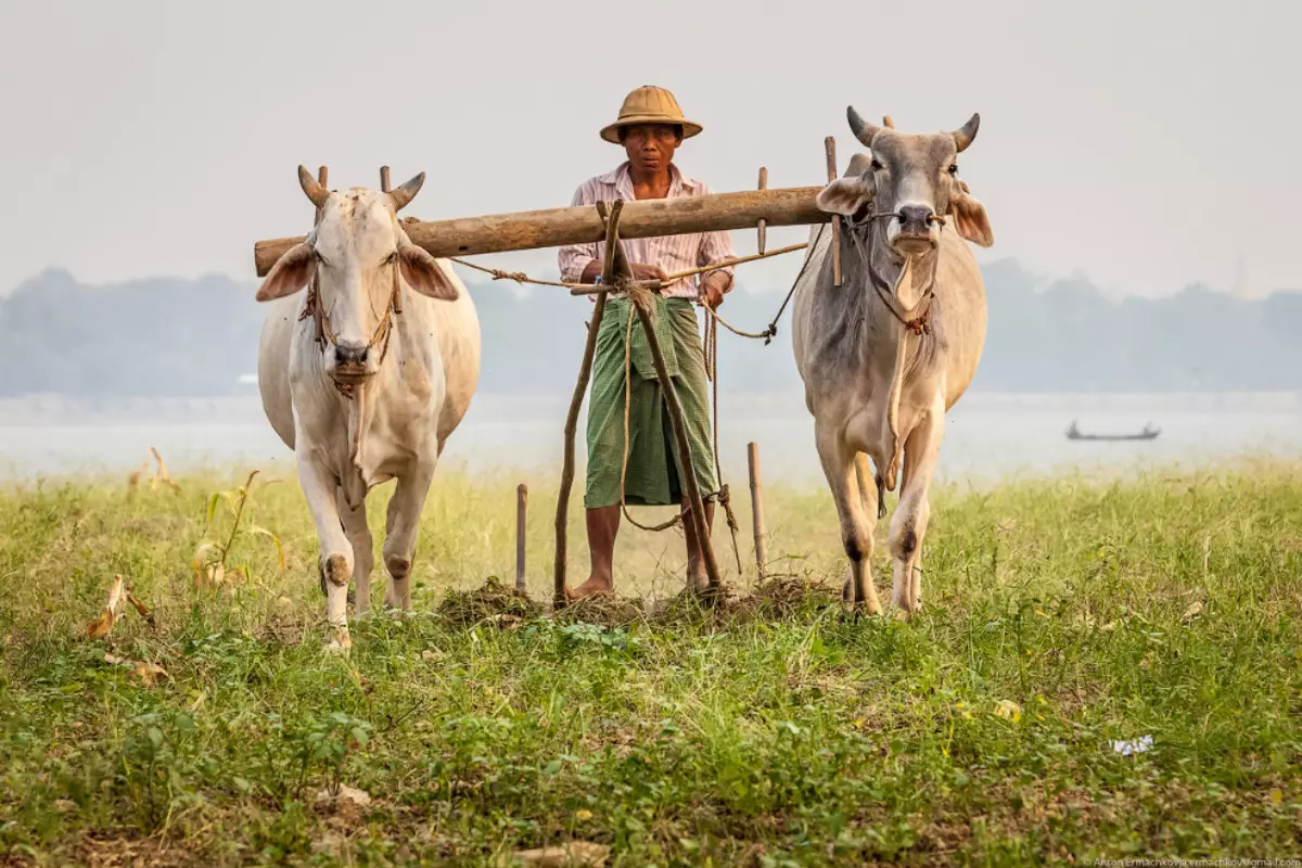 Burma: Die beroemde brug U BEIN. Foto's Anton Yermachkova 3360_10