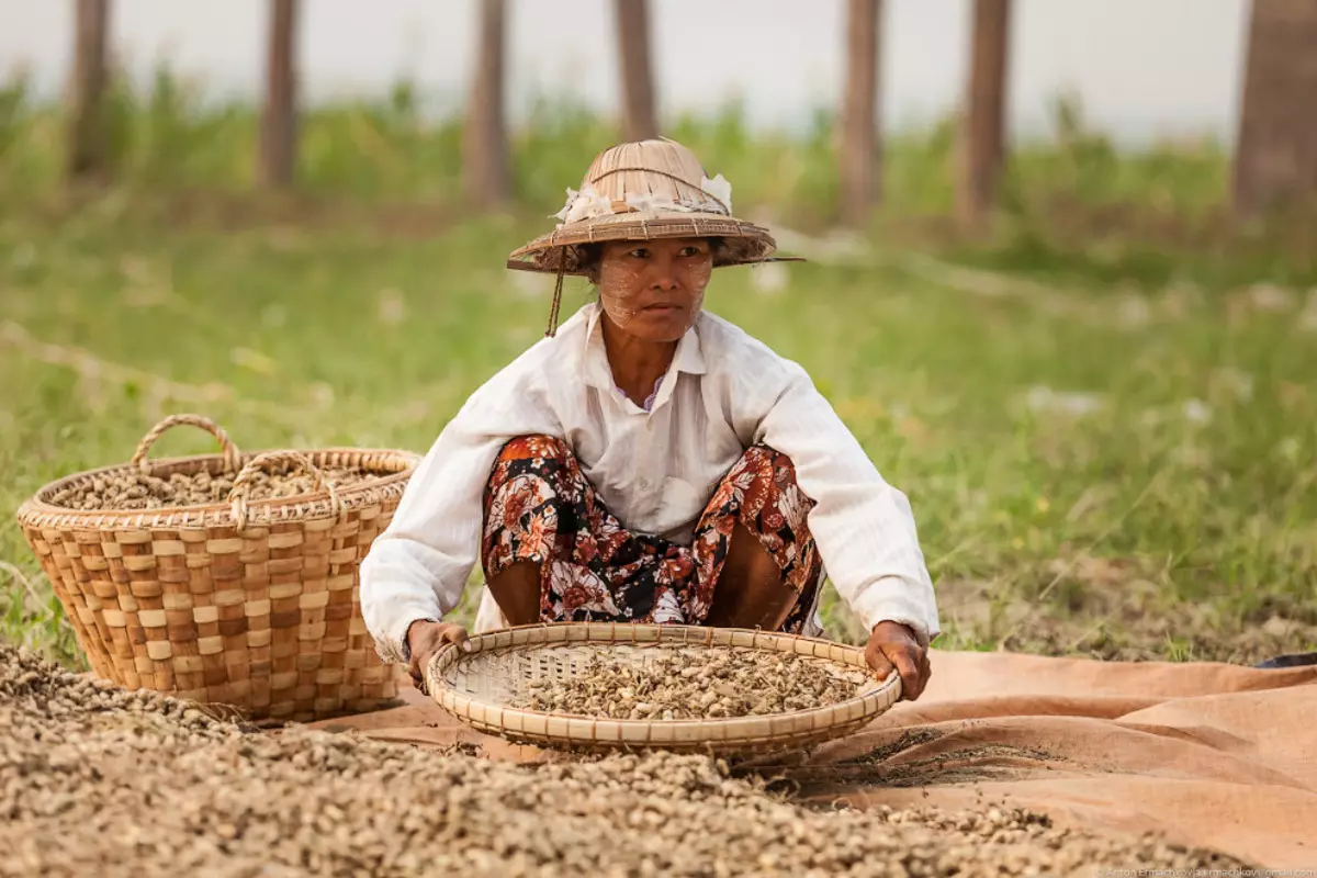 Burma: De ferneamde brêge U Bein. Fotos Anton Yermachkova 3360_11