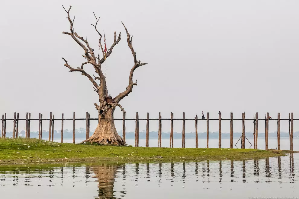 Burma: Ura e famshme u bein. Fotografitë Anton Yerchkova 3360_29