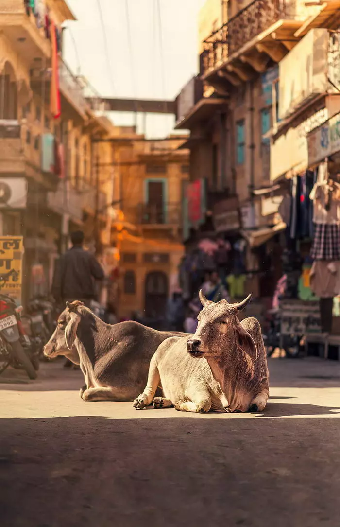 आश्रम की तस्वीरों में सुबह की किरणों में दक्षिण एशियाई सड़कें (अशरफुल अरेफिन) 3364_6