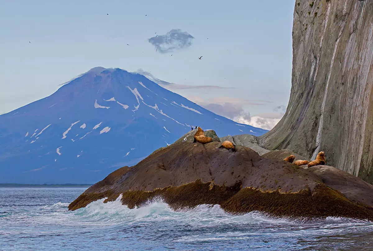 Toată magnifica Pristine Kamchatka în lentila Denis Beakov 3382_10