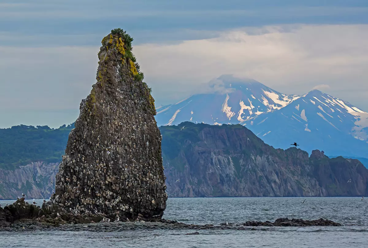 鏡片丹尼斯貝克索夫的原始Kamchatka的所有壯麗 3382_30