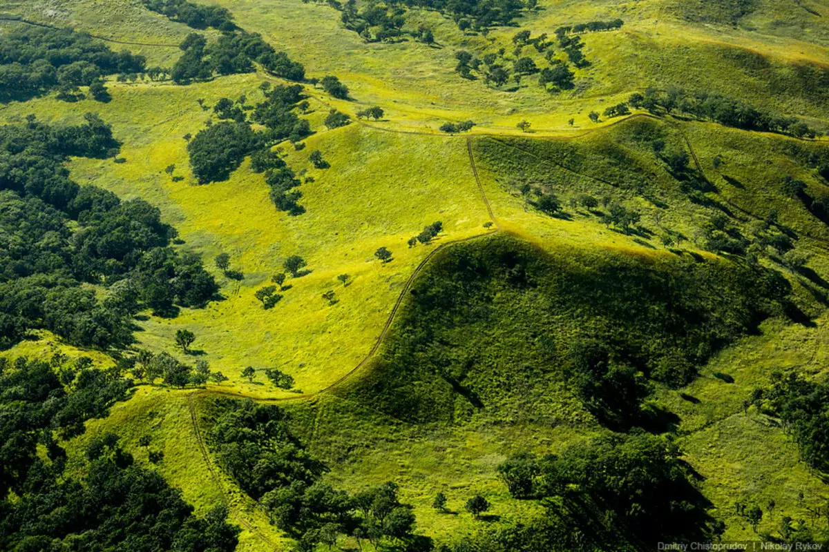 Ku nkombe z'isi: Peninsula Gamova. Amafoto ya Dmitry Chistoprudova 3416_31