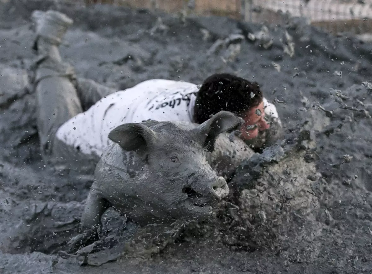 Paano ang Pig Festival sa Quebec, Canada. Photographer Christinne Muschi. 3442_12