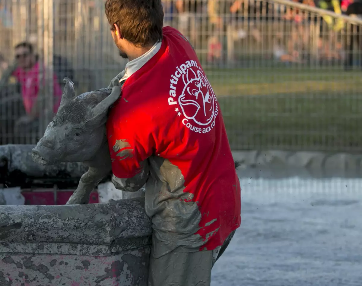 Paano ang Pig Festival sa Quebec, Canada. Photographer Christinne Muschi. 3442_14