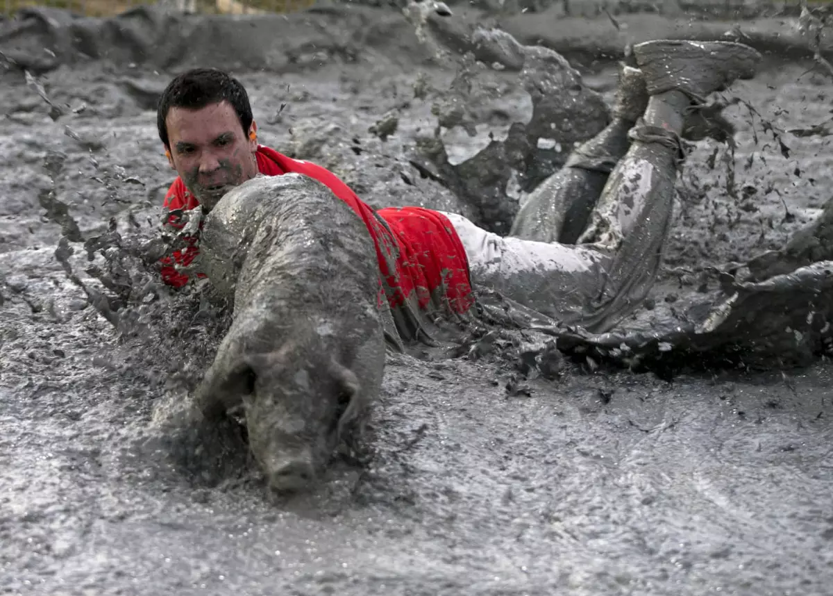 Paano ang Pig Festival sa Quebec, Canada. Photographer Christinne Muschi. 3442_15