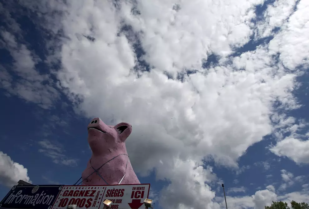 Paano ang Pig Festival sa Quebec, Canada. Photographer Christinne Muschi. 3442_17