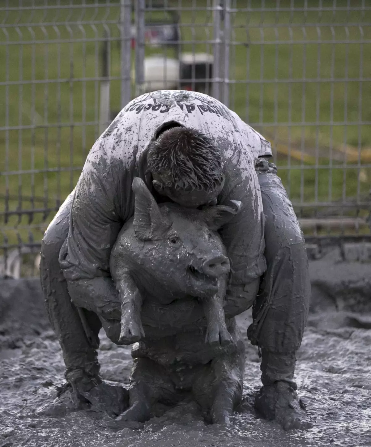 Paano ang Pig Festival sa Quebec, Canada. Photographer Christinne Muschi. 3442_4