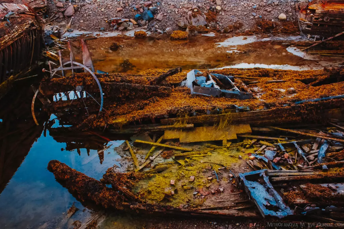 Bosiu le timetso ea Telsiberis sebakeng sa Murmansk sebakeng sa Lens Mary Mitrofanova 3456_21