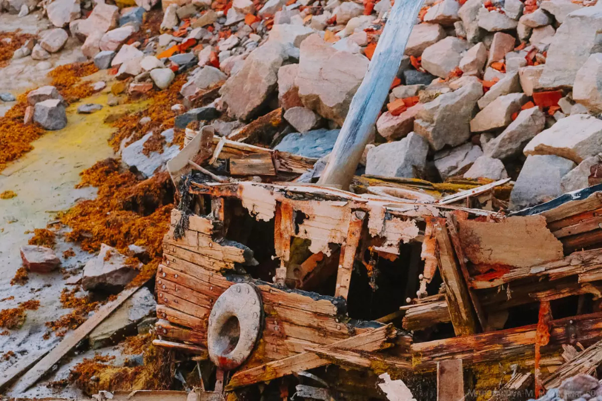 Bosiu le timetso ea Telsiberis sebakeng sa Murmansk sebakeng sa Lens Mary Mitrofanova 3456_25